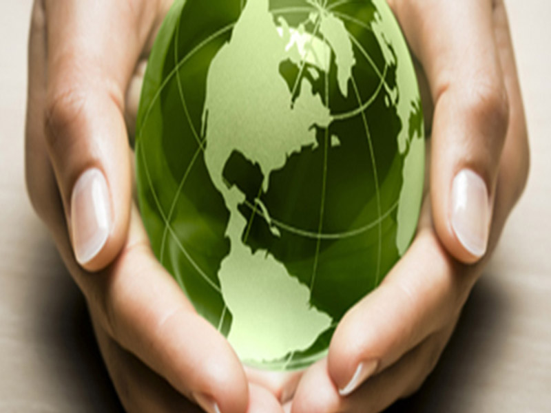 Earth Day 2012: What Are You Doing to Help Our Environment?